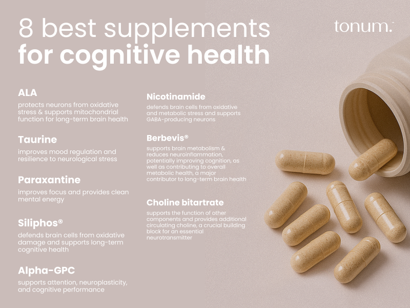 8 Best Supplements for Cognitive Health | Nouro Guide - Tonum